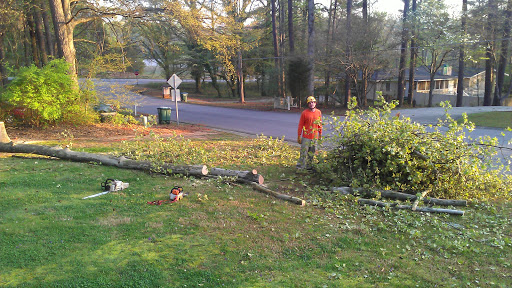 Tree Trimming Near Me | Expert Tree Services by 770 Arborist